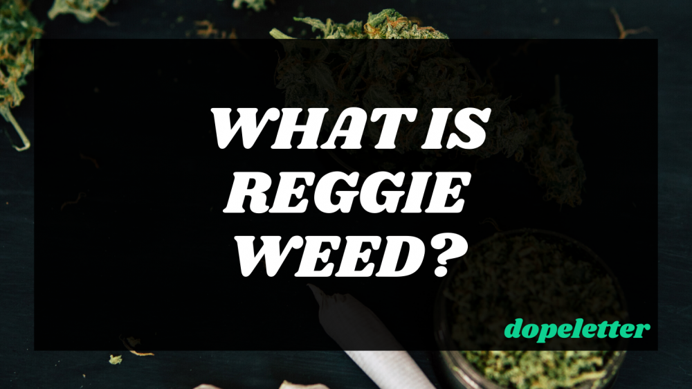 What is Reggie Weed? | Everything You Need to Know | Dopeletter